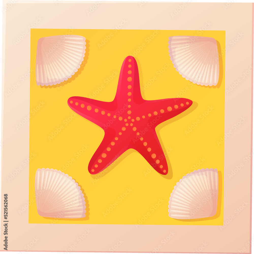 Photo of Red starfish seashell. Beach clipart,ocean star element ...