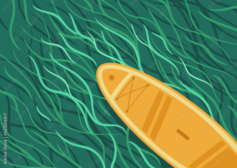 Sup board bottom on lake or river, green seaweed background. Vector ...