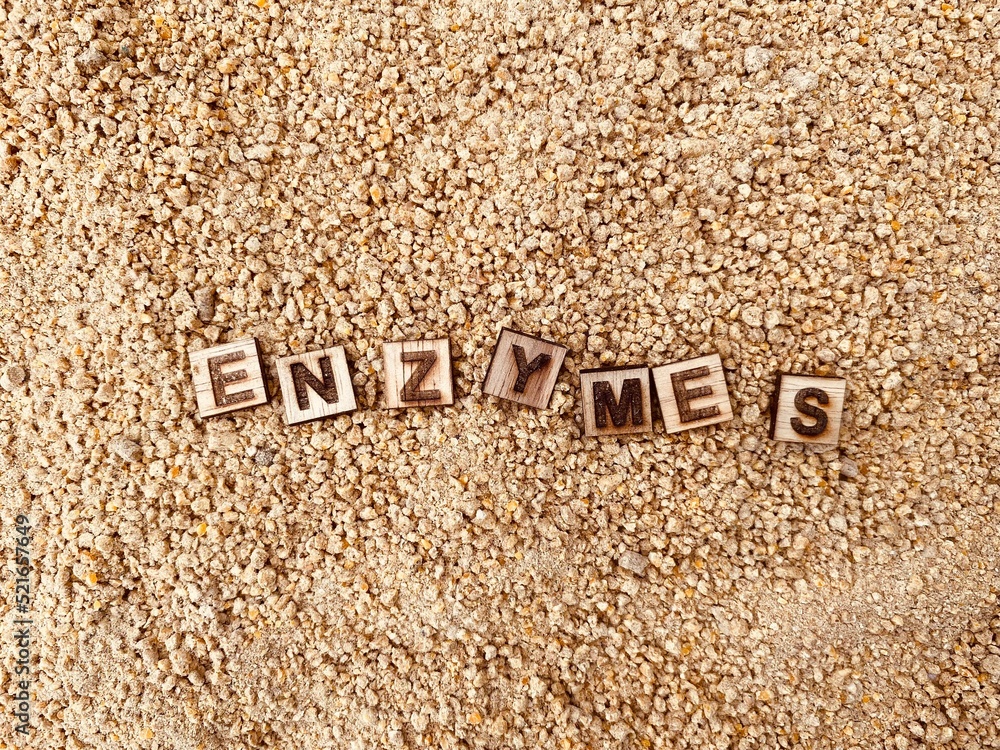 Use Enzymes in Animal Feed to improve animal performance. Image for ...