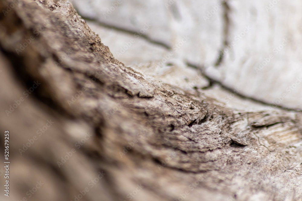 Natural figure of organic wooden grain shows tree details of hardwood ...