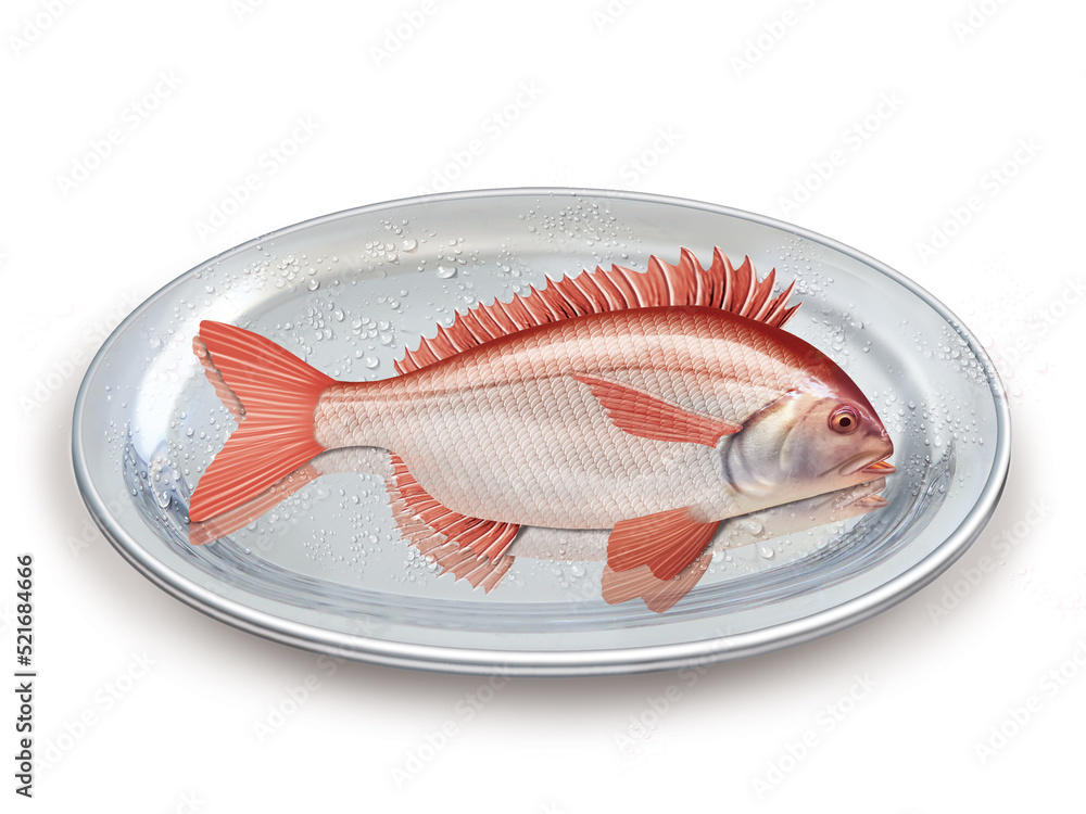 dorade rouge, poisson, plateau, pêche, aliment, frais, fruits de mer ...