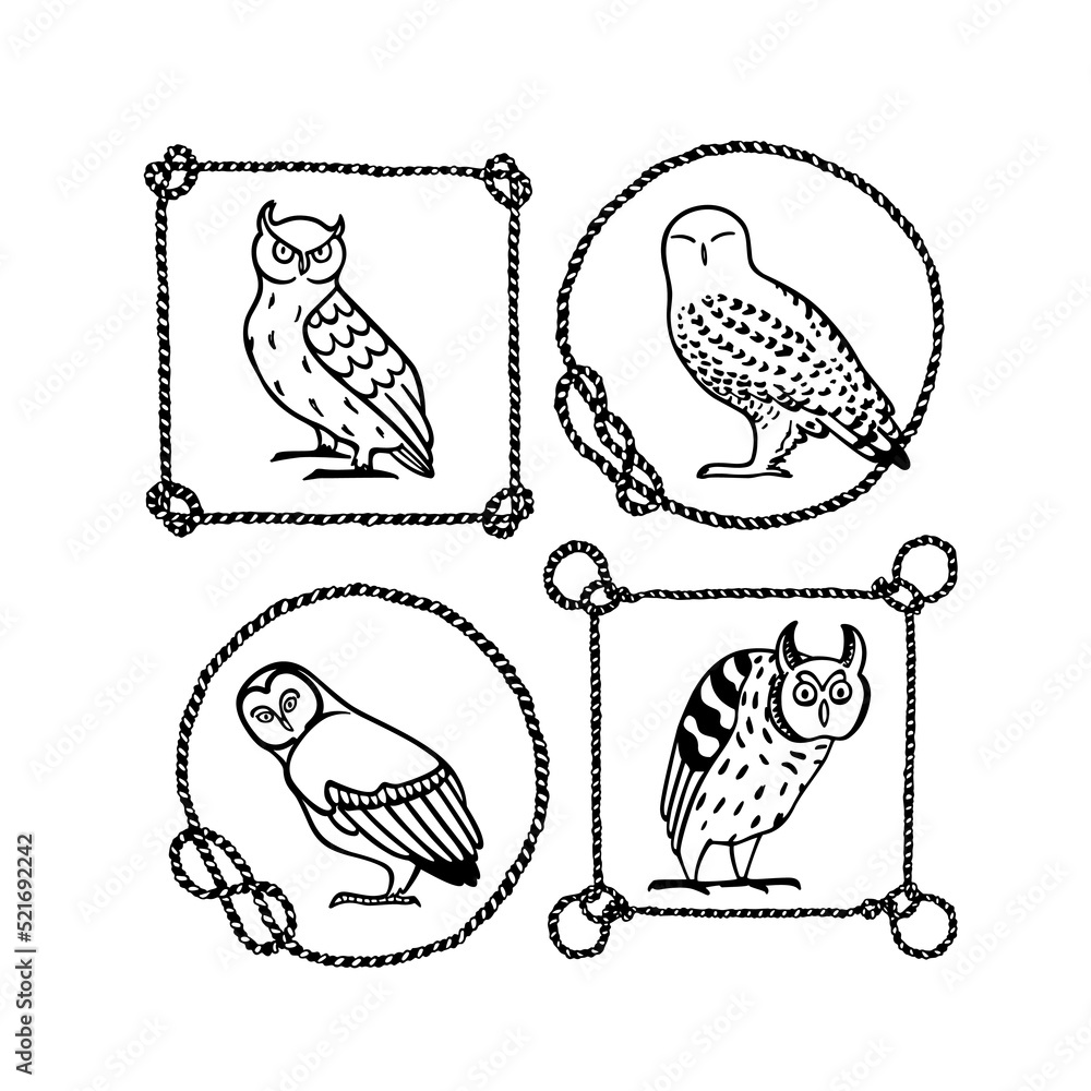 Vector card with hand drawn funny cartoon owls of different species in ...