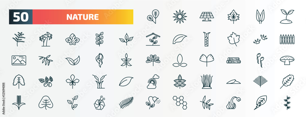 set of 50 special lineal nature icons. outline icons such as obovate ...