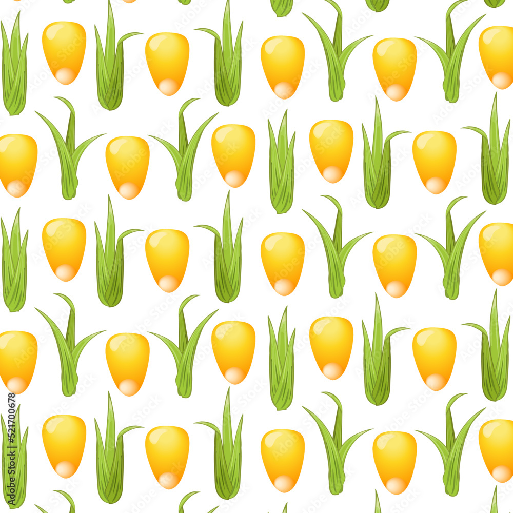 Pattern from corn grains.Corn grains with green sprouts on a ...