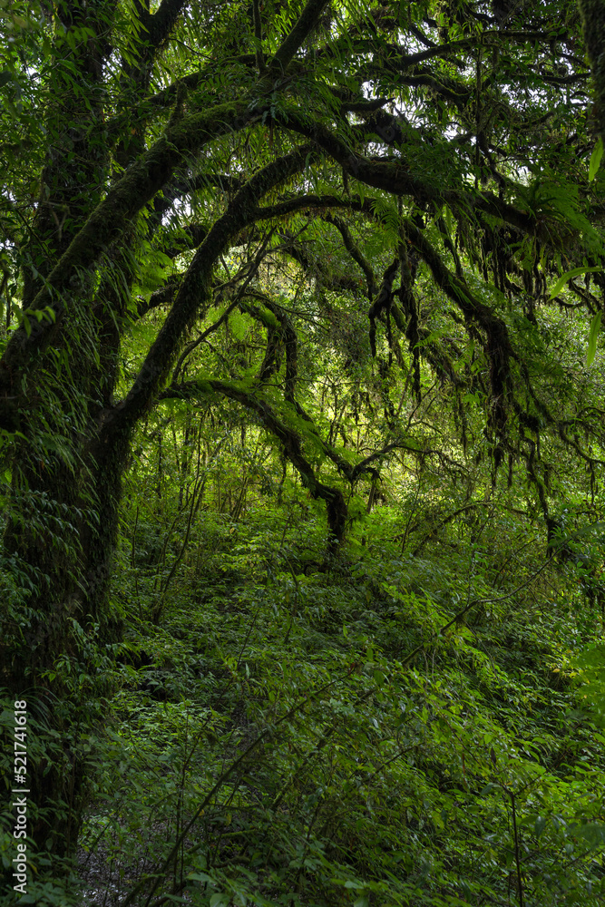 Ang Ka Luang Nature Trail is an educational ecosystem nature trail ...