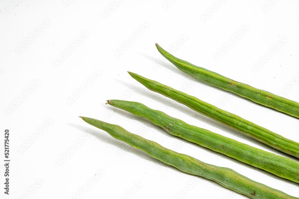 Drumstick seeds green moringa oleifera beans white background Stock ...