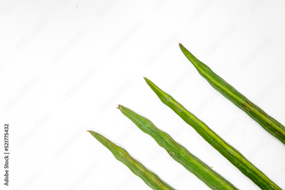Drumstick seeds green moringa oleifera beans white background Stock ...