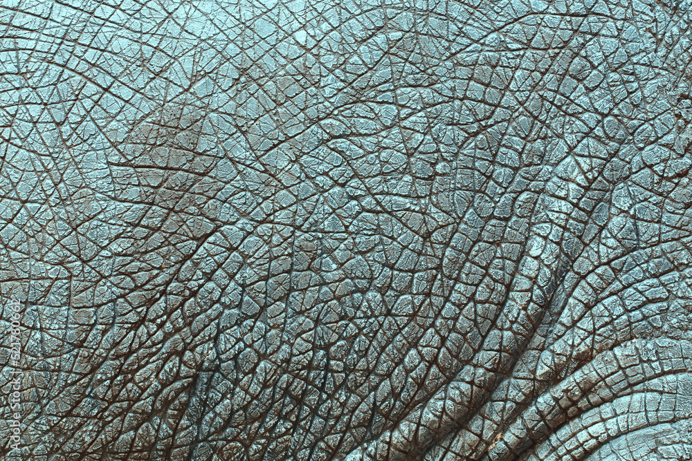 Dinosaur animal skin texture for background. Stock Photo | Adobe Stock