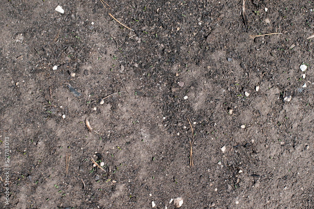 Black surface of the rural field with a burned grass. Effects of grass ...