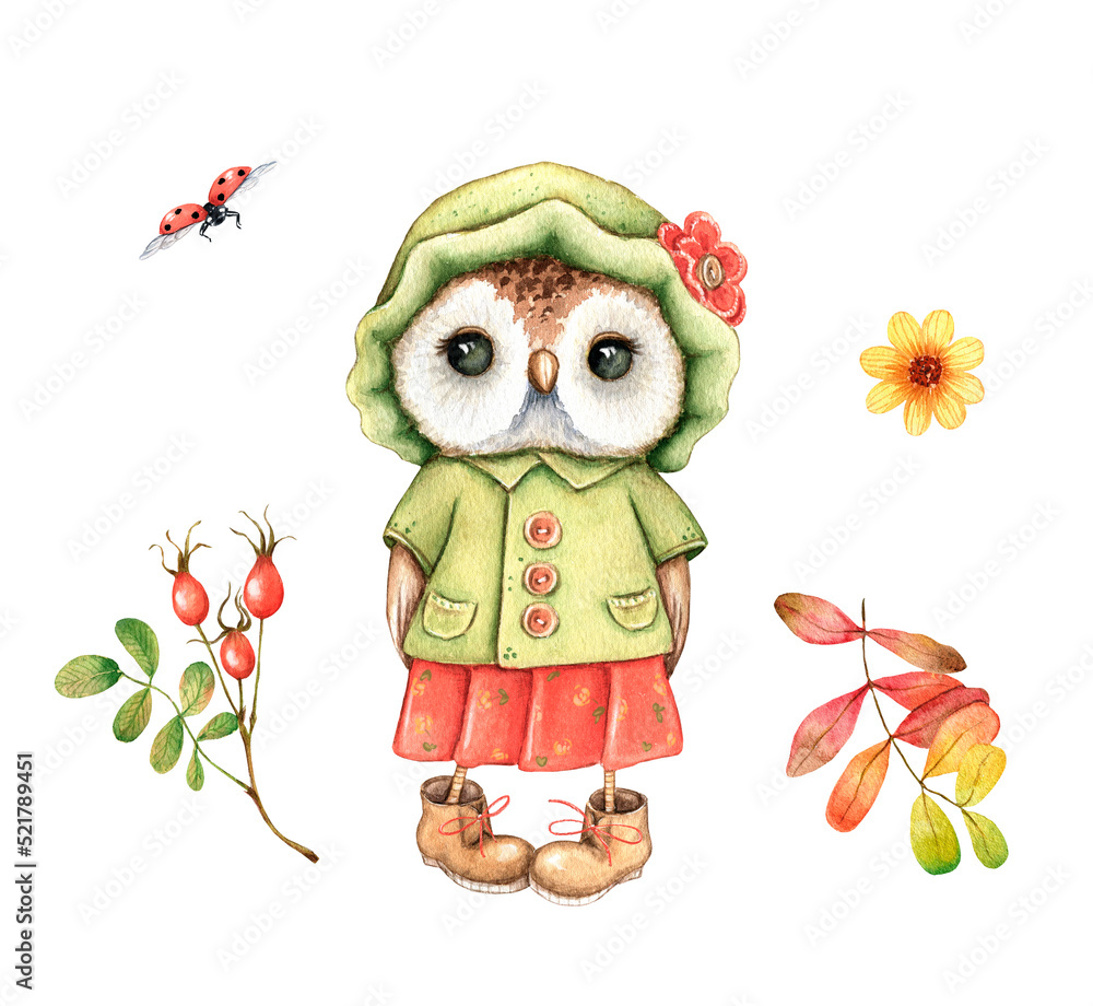 Cute little owl illustration. Watercolor hand drawn clipart isolated on ...