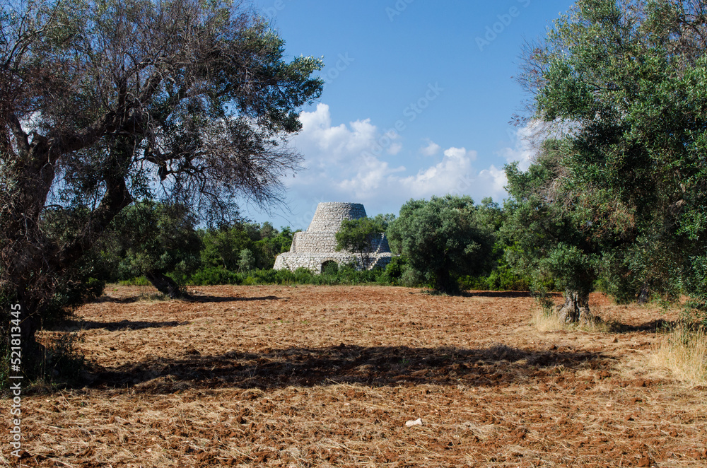 Una pajara, tipica costruzione rurale del Salento in Puglia, fra gli ...