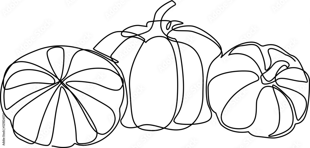Line Drawing pumpkins Stock Vector | Adobe Stock