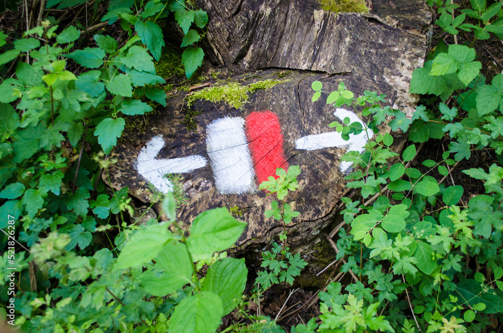 Le frecce che indicano il percorso della Via degli abati, cammino che ...