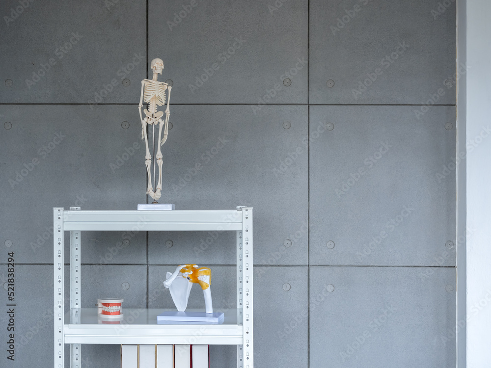 Orthopedic doctor office background decoration with skeleton body ...