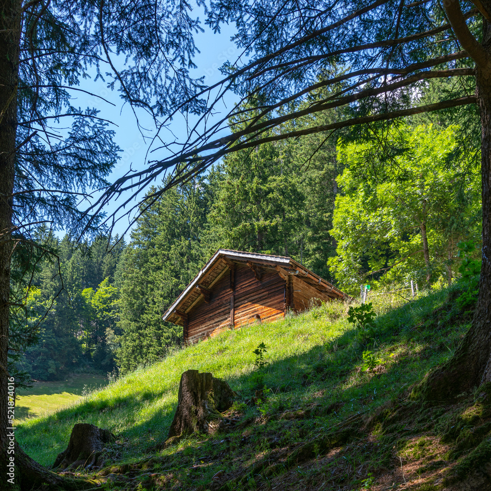 Holzstadel, Scheune, Haus aus Holz am steilen Abhang in Adelboden. auf ...