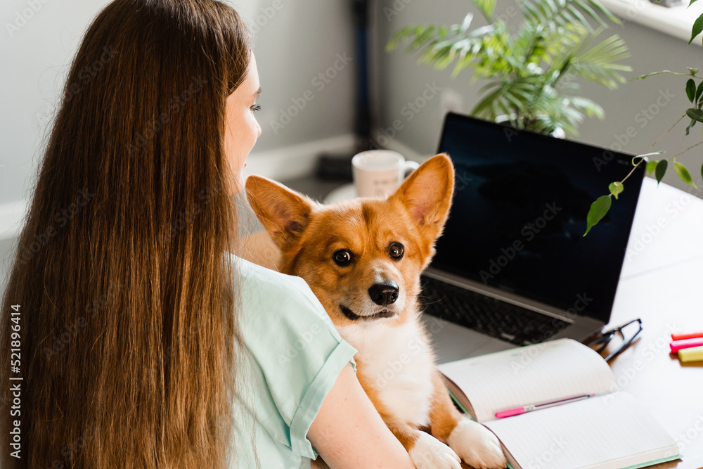 Distance education. Girl student with laptop study online with her ...