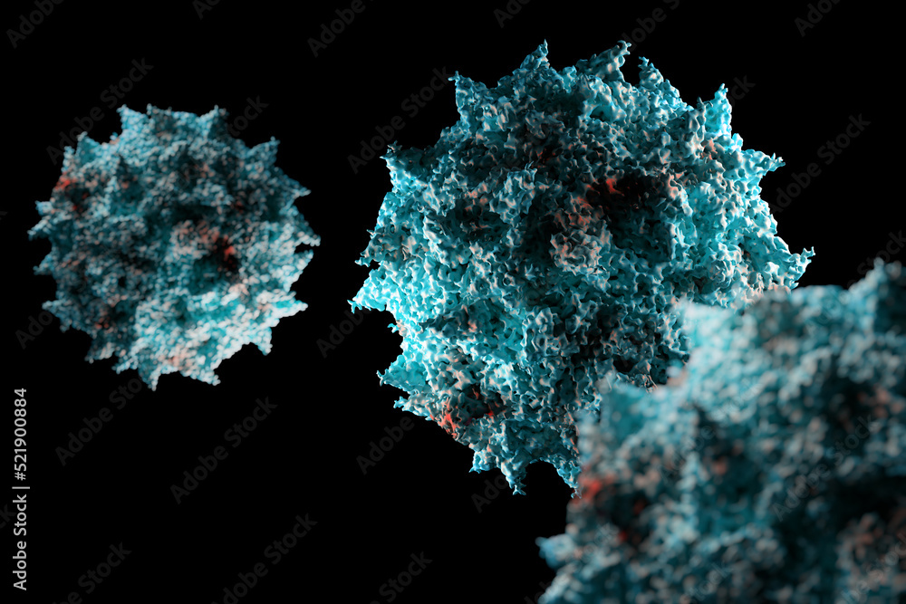 Polio virus medical illustration, poliovirus disease Stock Illustration ...