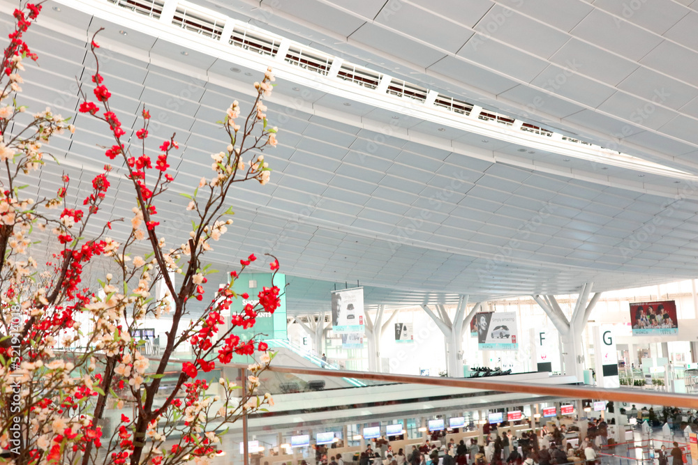 Terminal 3(international terminal ) of Haneda Tokyo International ...