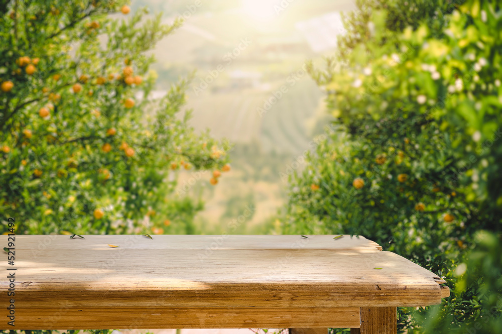 Empty wood table with free space over orange trees, orange field ...