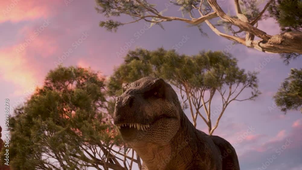 Tyrannosaurus walks through the Canyon in the desert. Dinosaur. T-rex ...