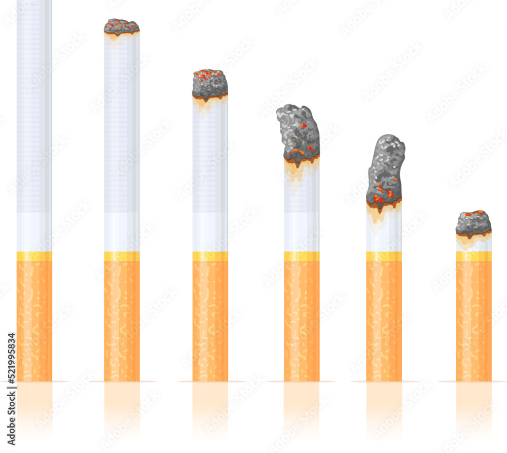 Burn cigarette stages. Burning cigarettes filter tobacco ashes, fire ...
