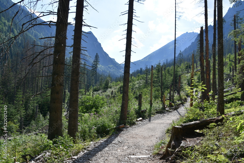 Dolina Roztoki, Tatry, TPN, krajobraz, góra Stock Photo | Adobe Stock