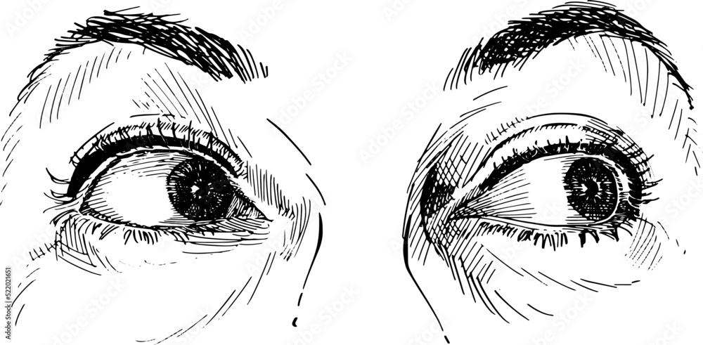 Close up of adult woman eyes looking right. Concept of eye language ...