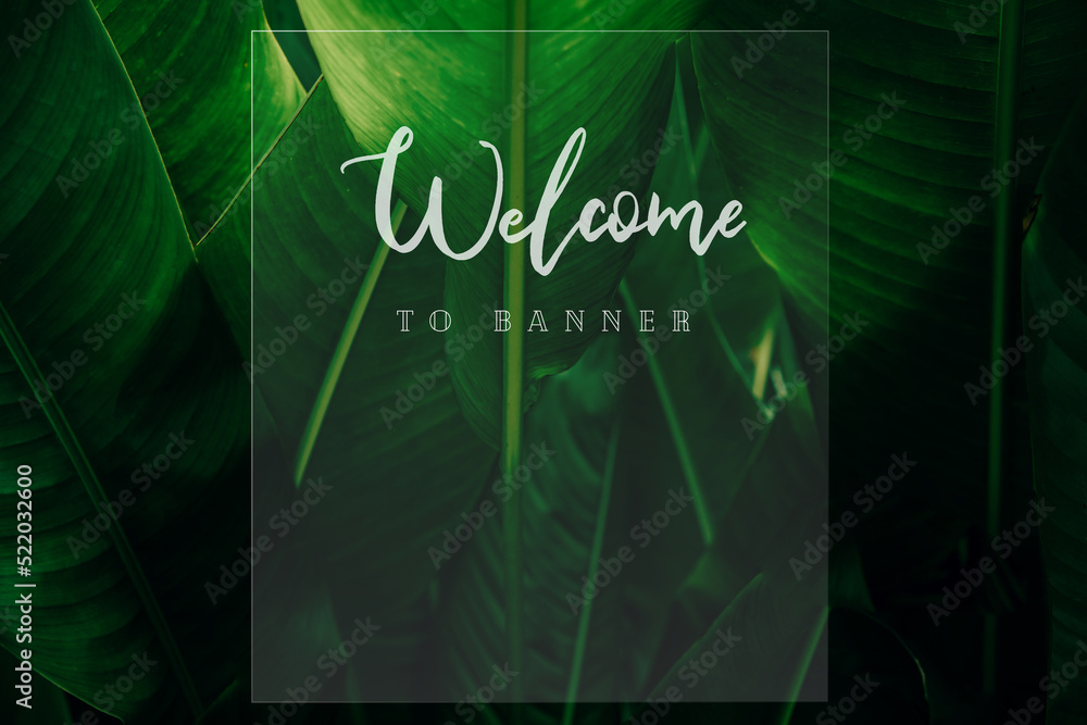 welcome poster on leaf background colorful gradient brush design Vector ...