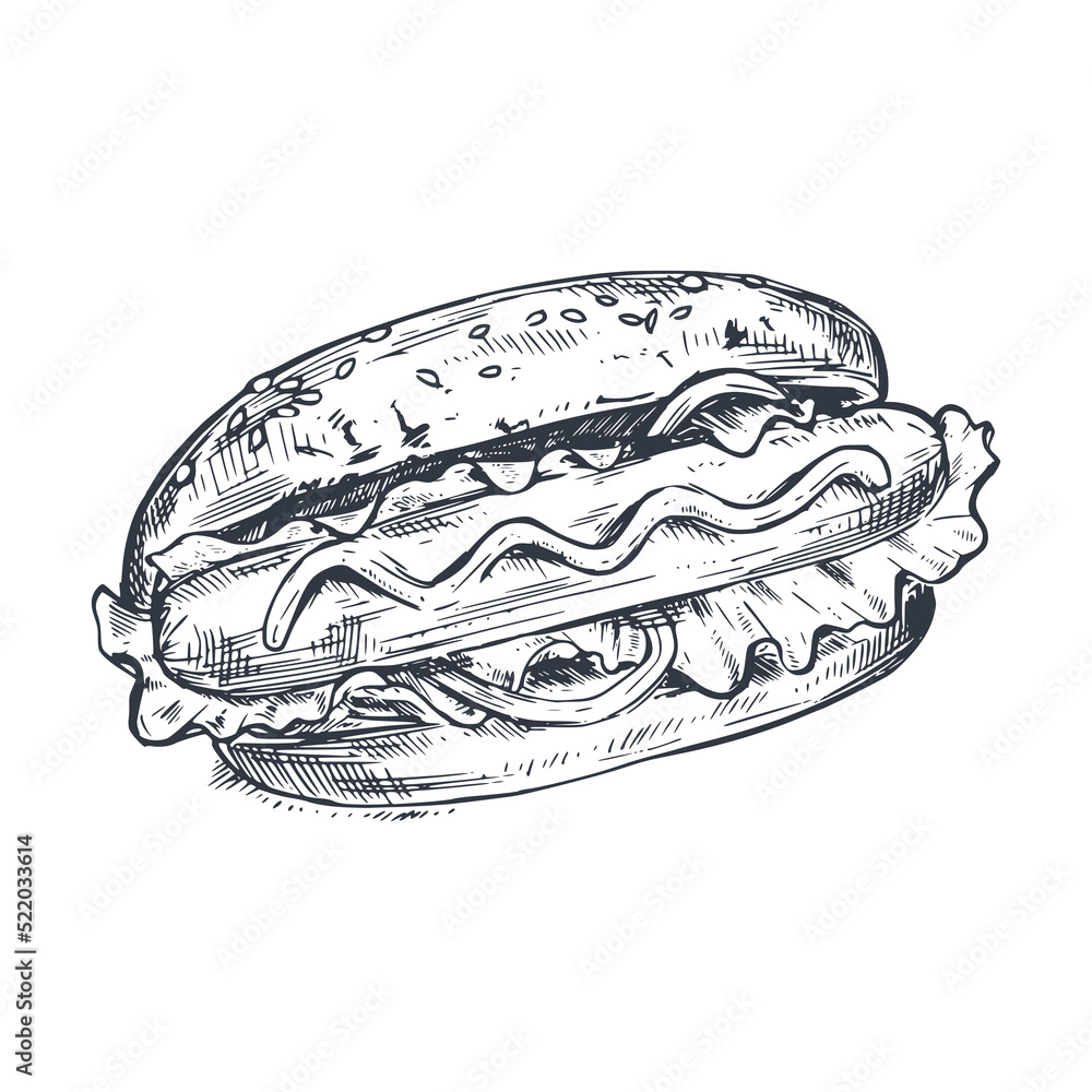 Hand drawn vector illustration of hot dog in sketch style. Traditional ...