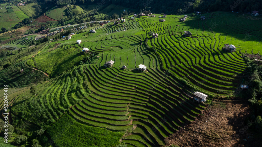 Rice fields on terraced of Ban Pa Bong Paing, Chiang Mai, Thailand ...