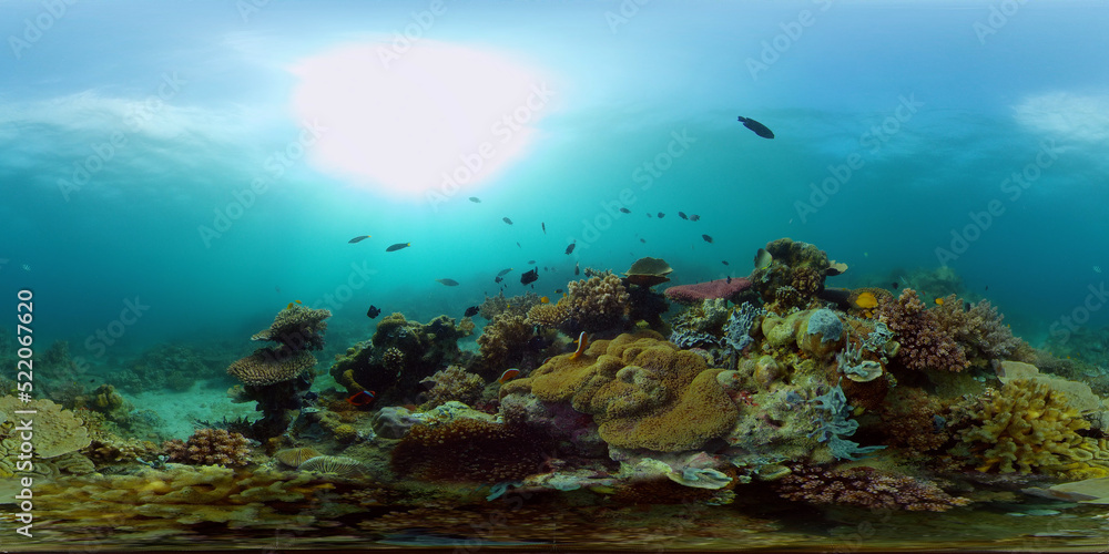 Fotografia do Stock: Tropical sea and coral reef. Underwater Fish and ...