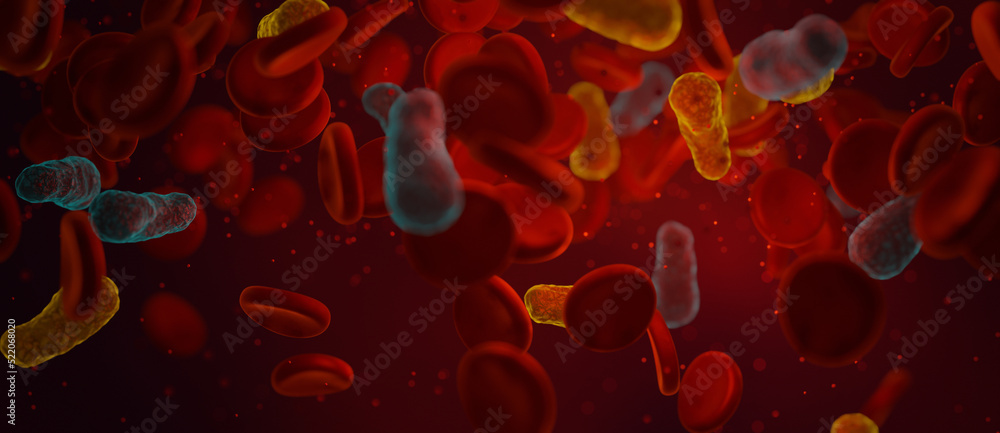 Medical human healthcare. Red blood cells in an arterywith bacteria ...