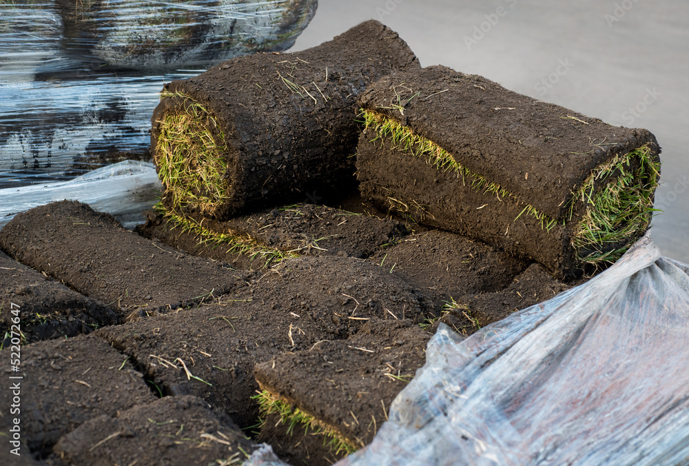 Lawn grass close up in rolls of packaging on a pallet. Laying a new ...