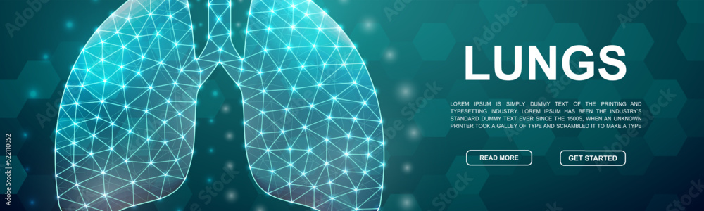 Lungs 3d low poly symbol for head promotion banner. Respiratory system ...