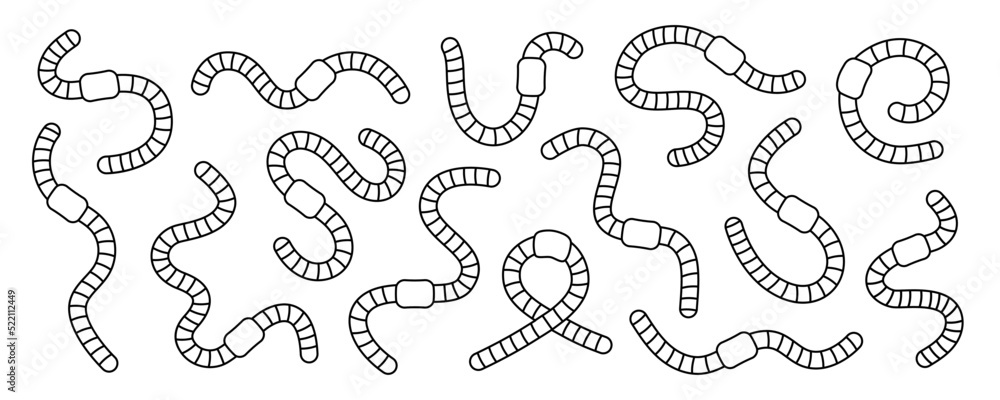 Curled earthworms outline set. Terrestrial worms line banner ...