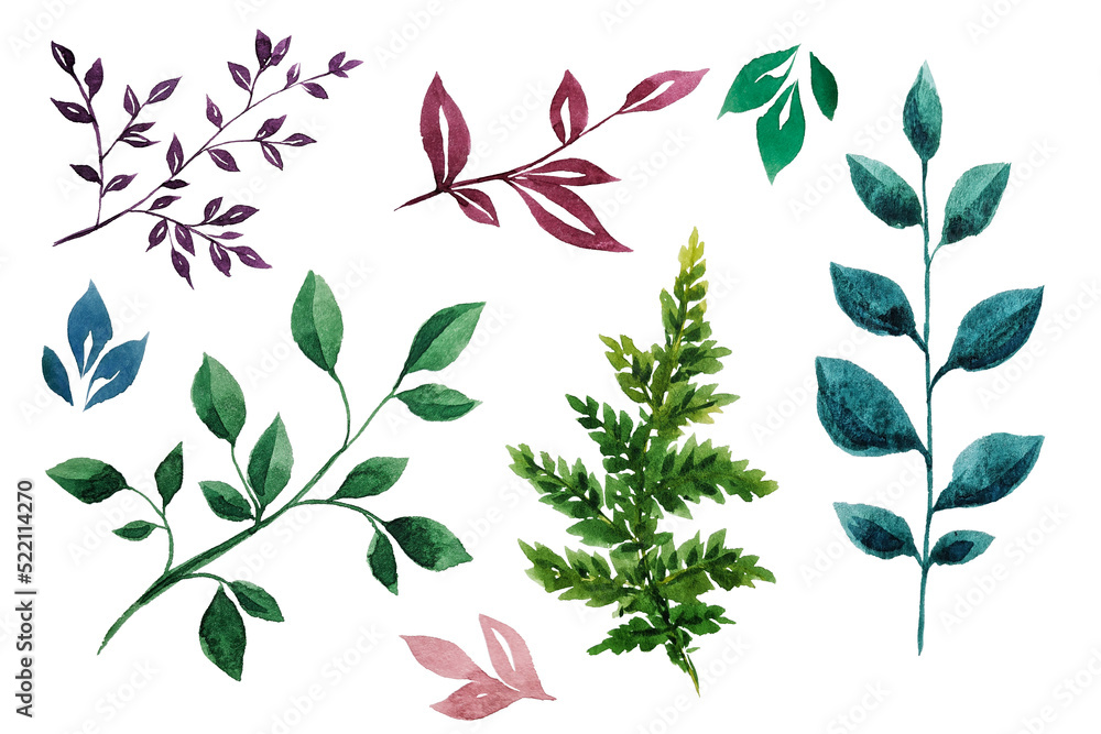 Big set of watercolor branches. Watercolor elements for decorating ...