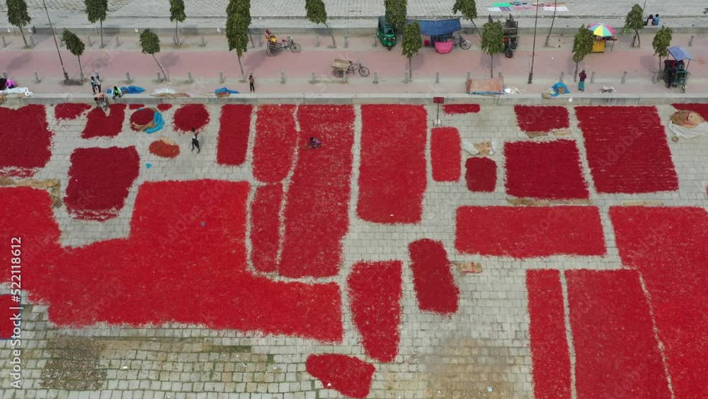 Red chilli pepper drying process. Bogra, Bangladesh. Stock Video ...