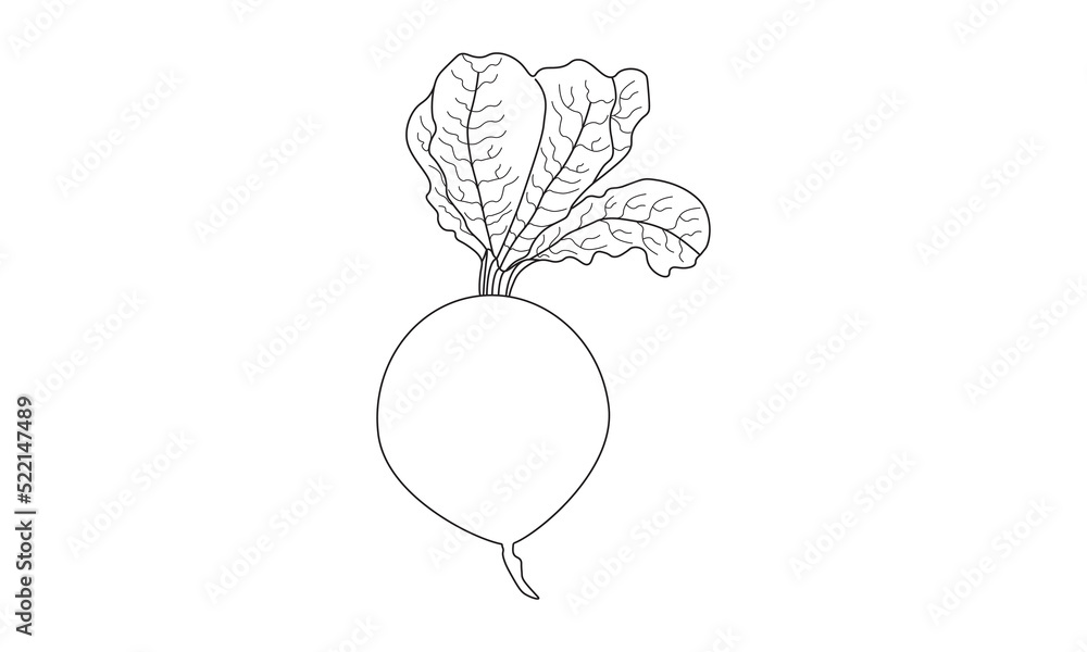 Vetor do Stock: Turnip Coloring Page for Kids KDP Interior, Turnip ...