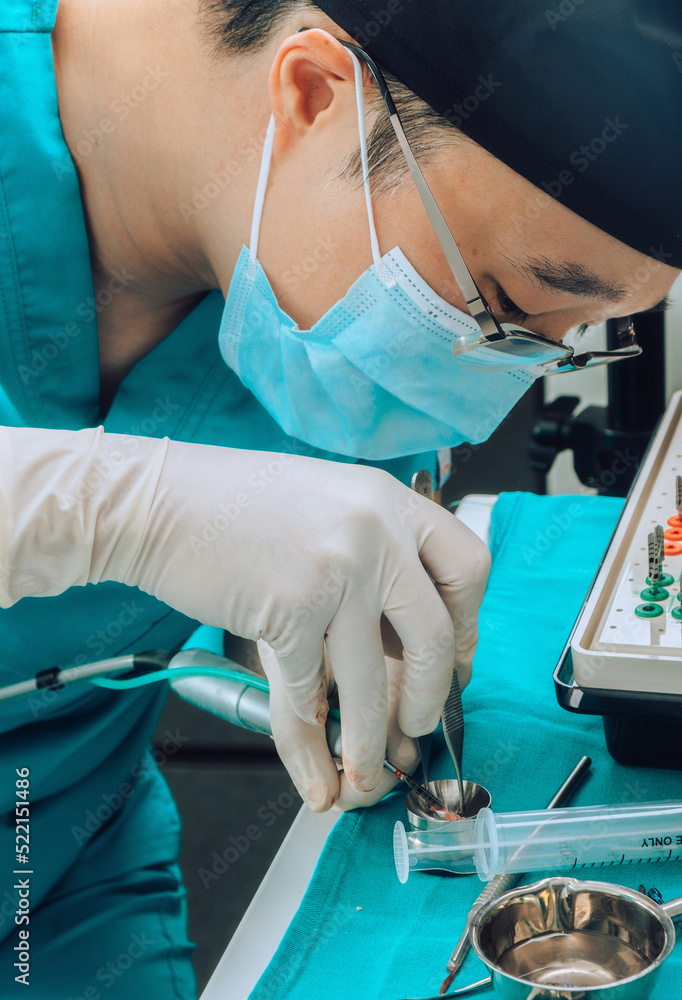 Dental Surgeon during surgery on teeth implants Stock Photo | Adobe Stock