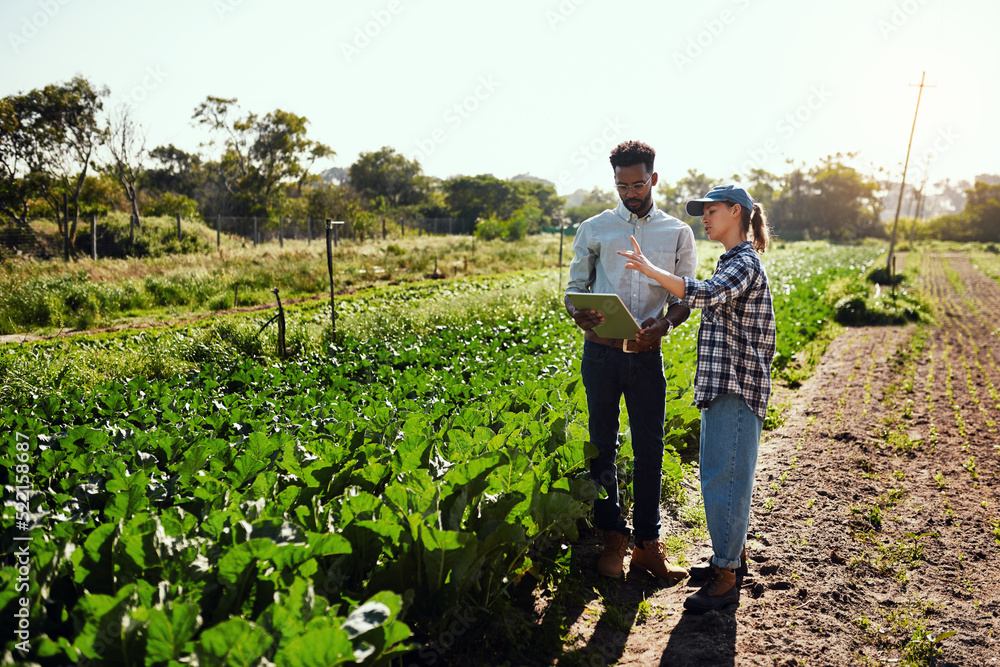Farmers using a digital tablet while talking in an organic vegetable ...