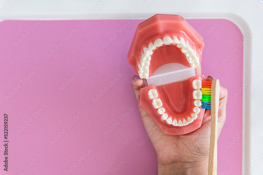 Female hand showing how to brush teeth Stock Photo | Adobe Stock