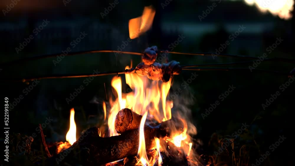 Toasting Marshmallows On Sticks On Fire. Roasting Food Over Fire In ...