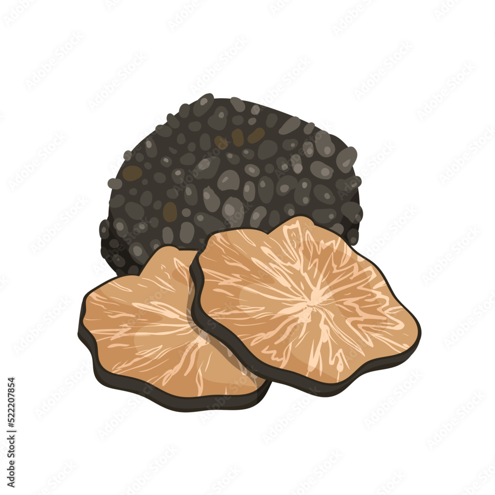 Black truffle mushroom vector illustration. Cartoon isolated whole ...