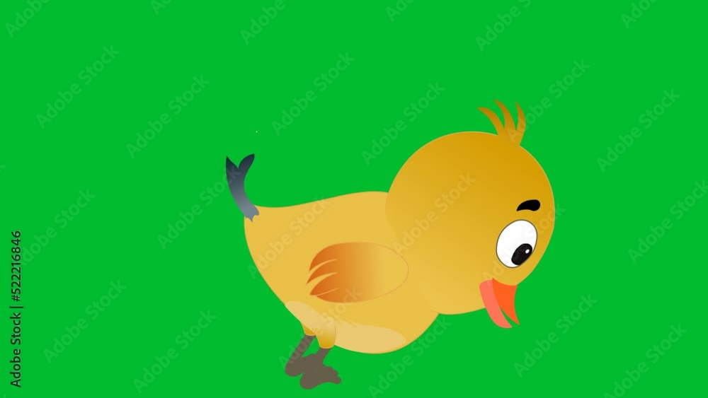 Yellow Bird eating on green screen. Cute yellow Bird cartoon animation ...