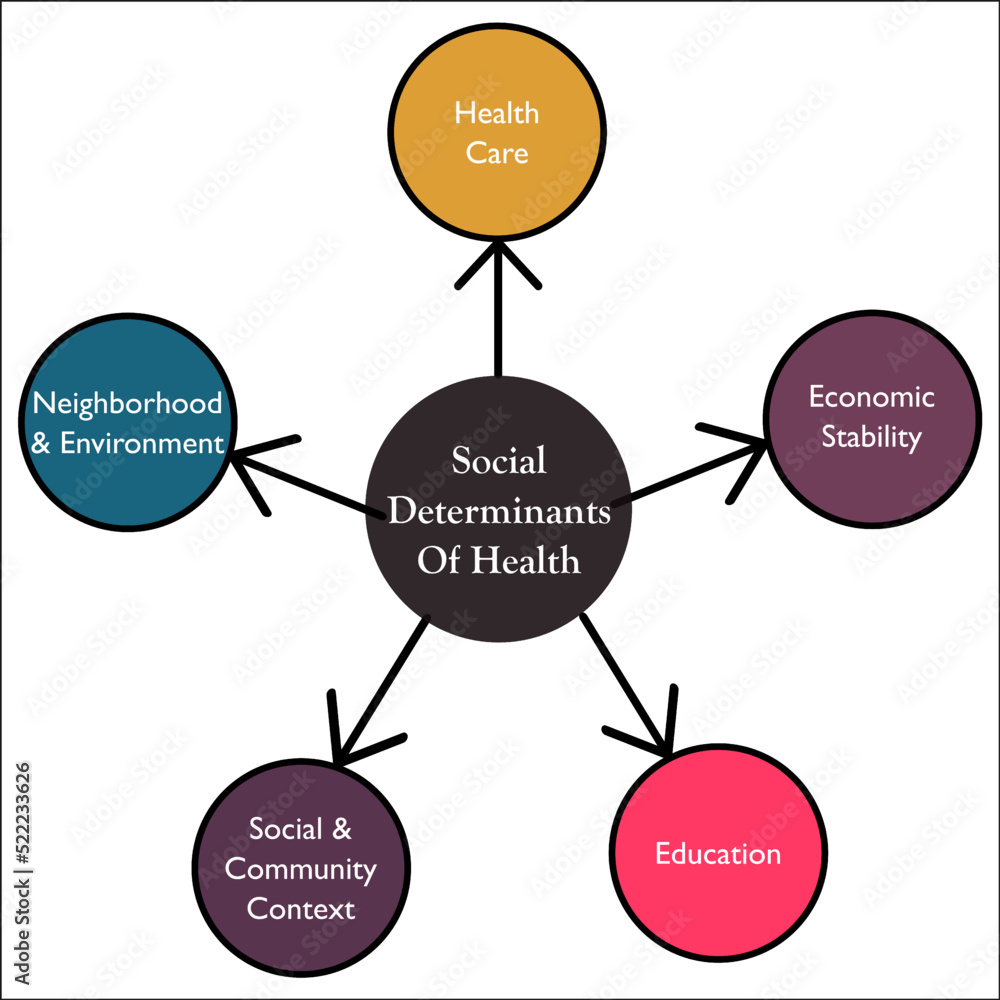 Six Social Determinants of Health in an Infographic template Stock ... Six Social Determinants of Health in an Infographic template Stock ...