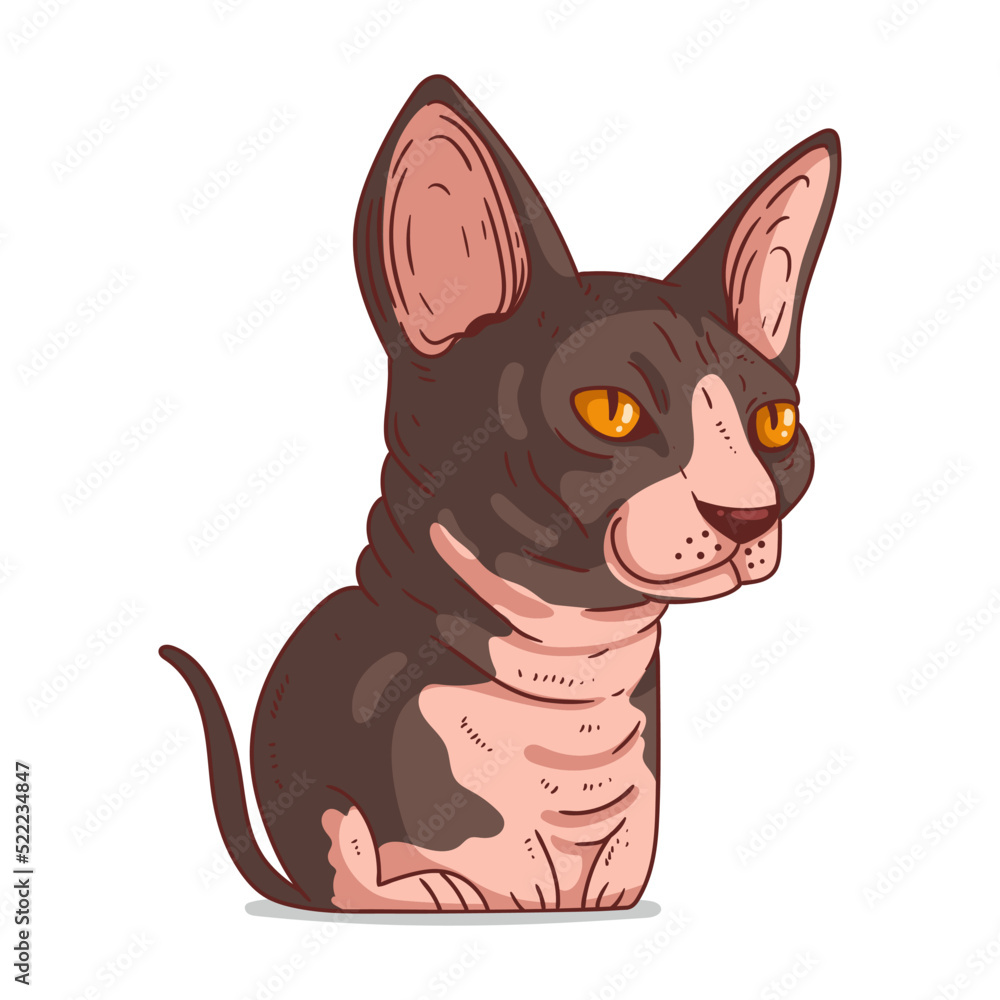 A Sphynx Cat, isolated vector illustration. Cute cartoon picture for ...