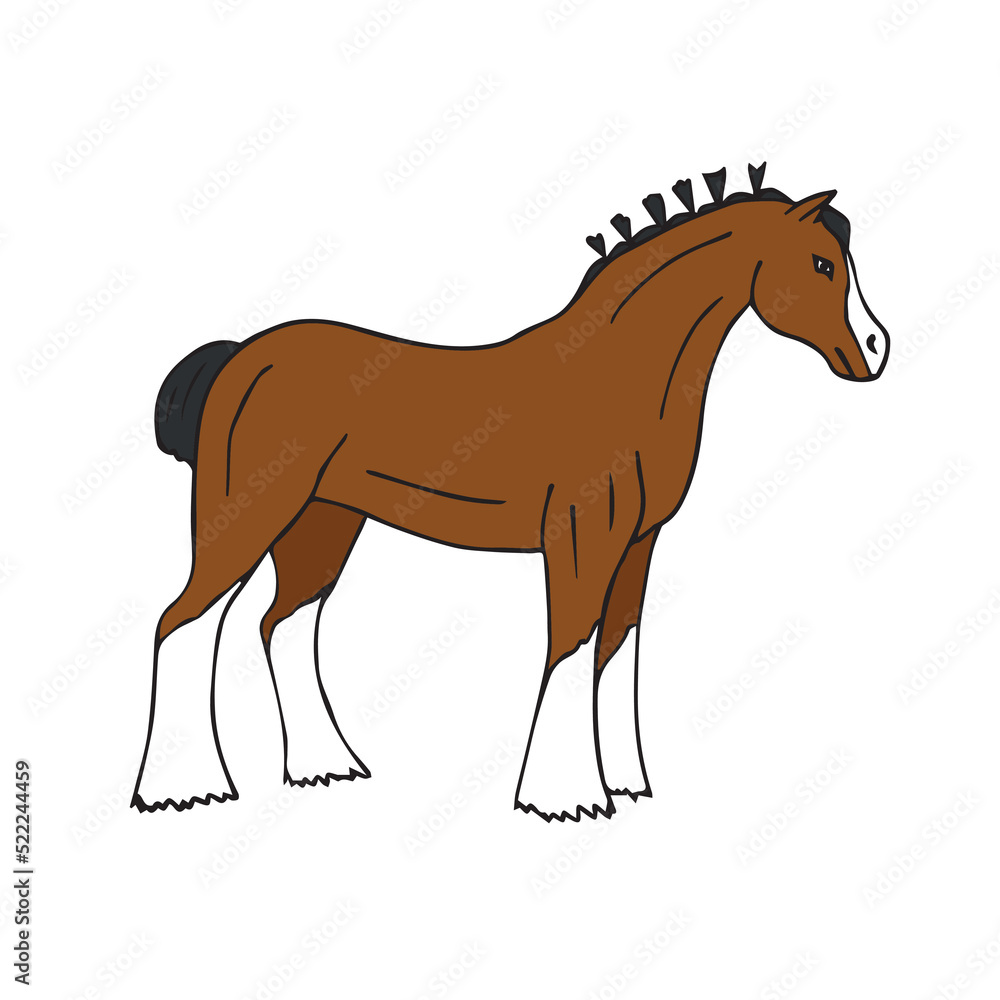 Vector hand drawn doodle sketch colored shire horse isolated on white ...