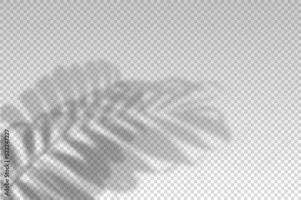 Shadow leaves. Shading wall. Tropical plants leafs reflection overlay ...