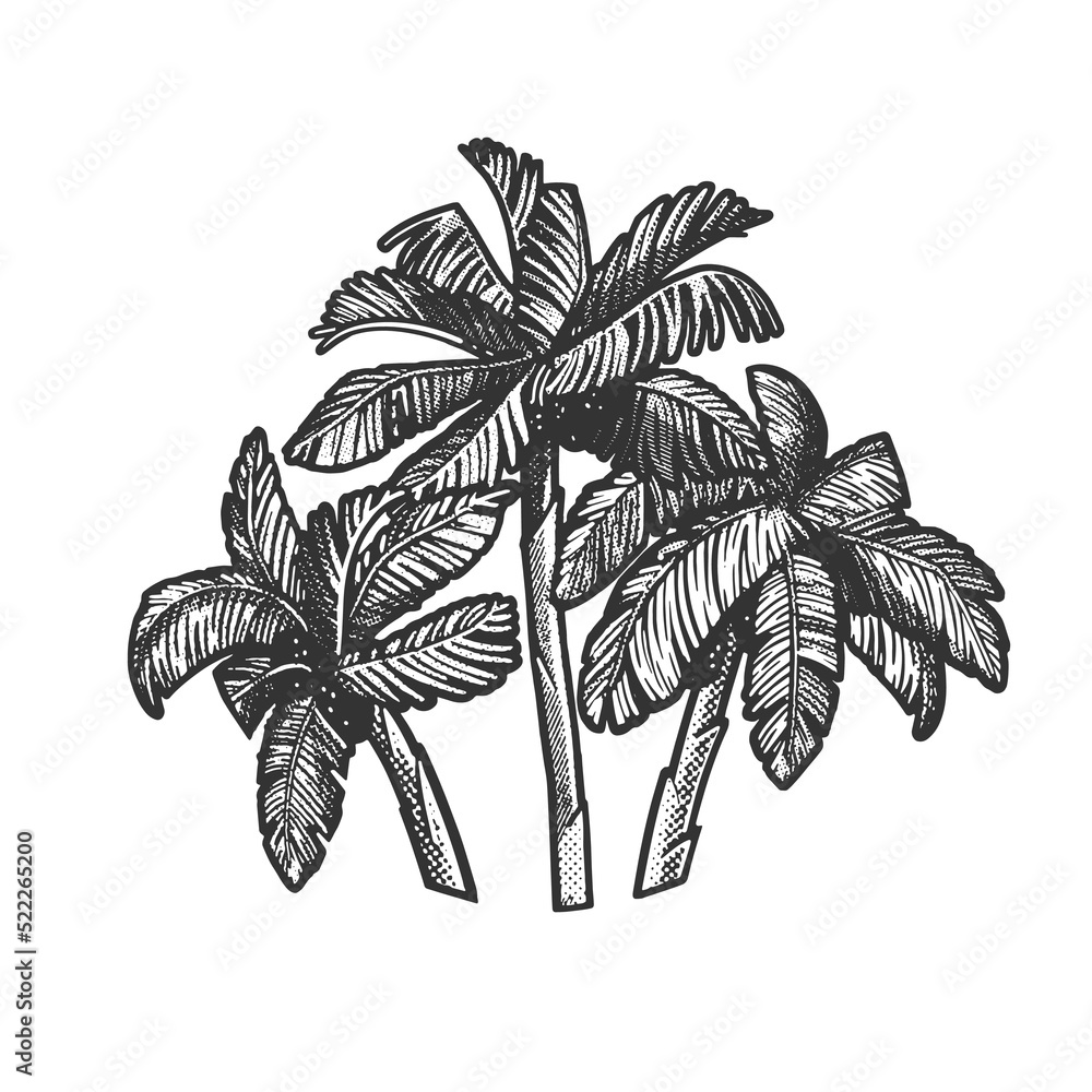 Palm trees sketch halftone pattern vector illustration. Scratch board ...