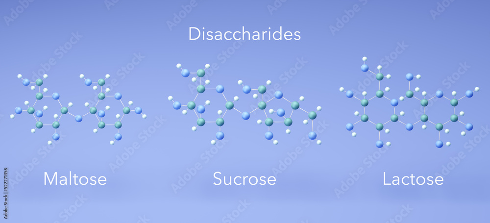 disaccharide - maltose, sucrose, lactose, molecular structures, 3d ...